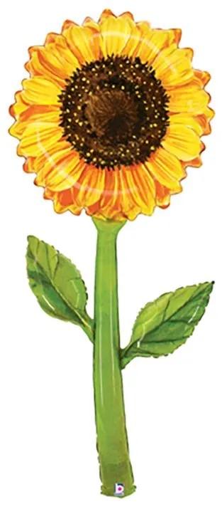 Sunflower 60"